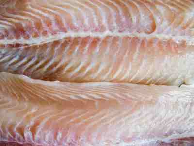 Do You Eat This Frozen Fish Called Pangas ? | Health Maximizer