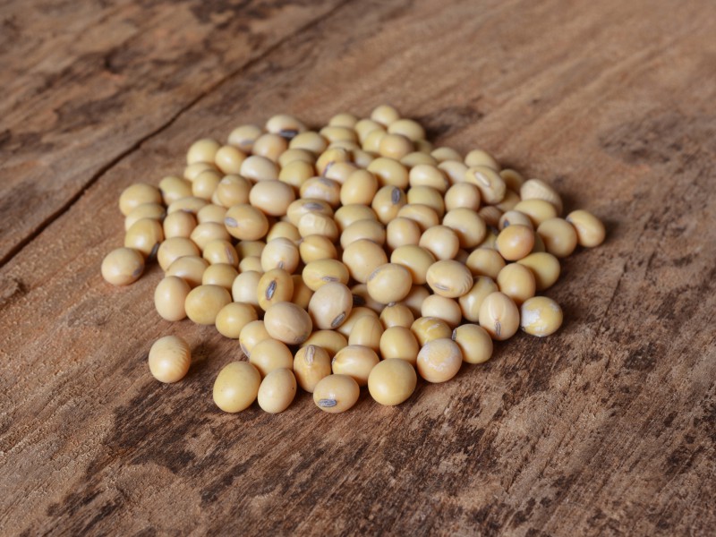 Healthy soy? Really? | Health Maximizer