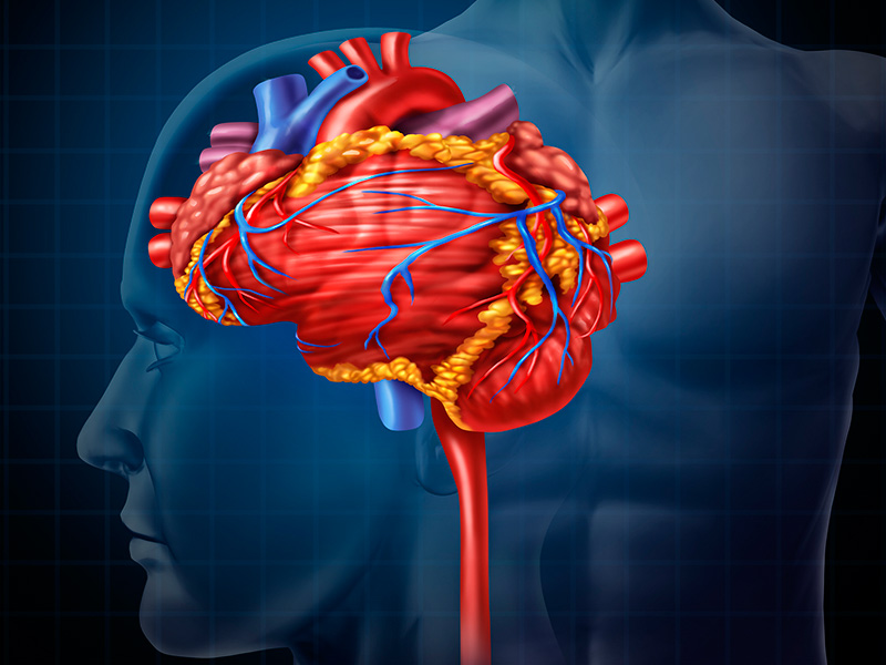Mega heart and brain health all in one | Health Maximizer