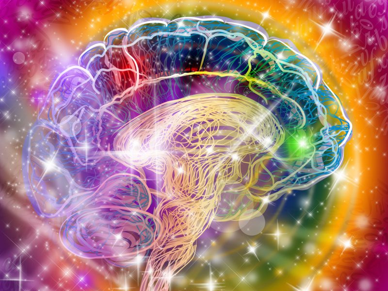 How one man made his brain nearly a decade younger | Health Maximizer