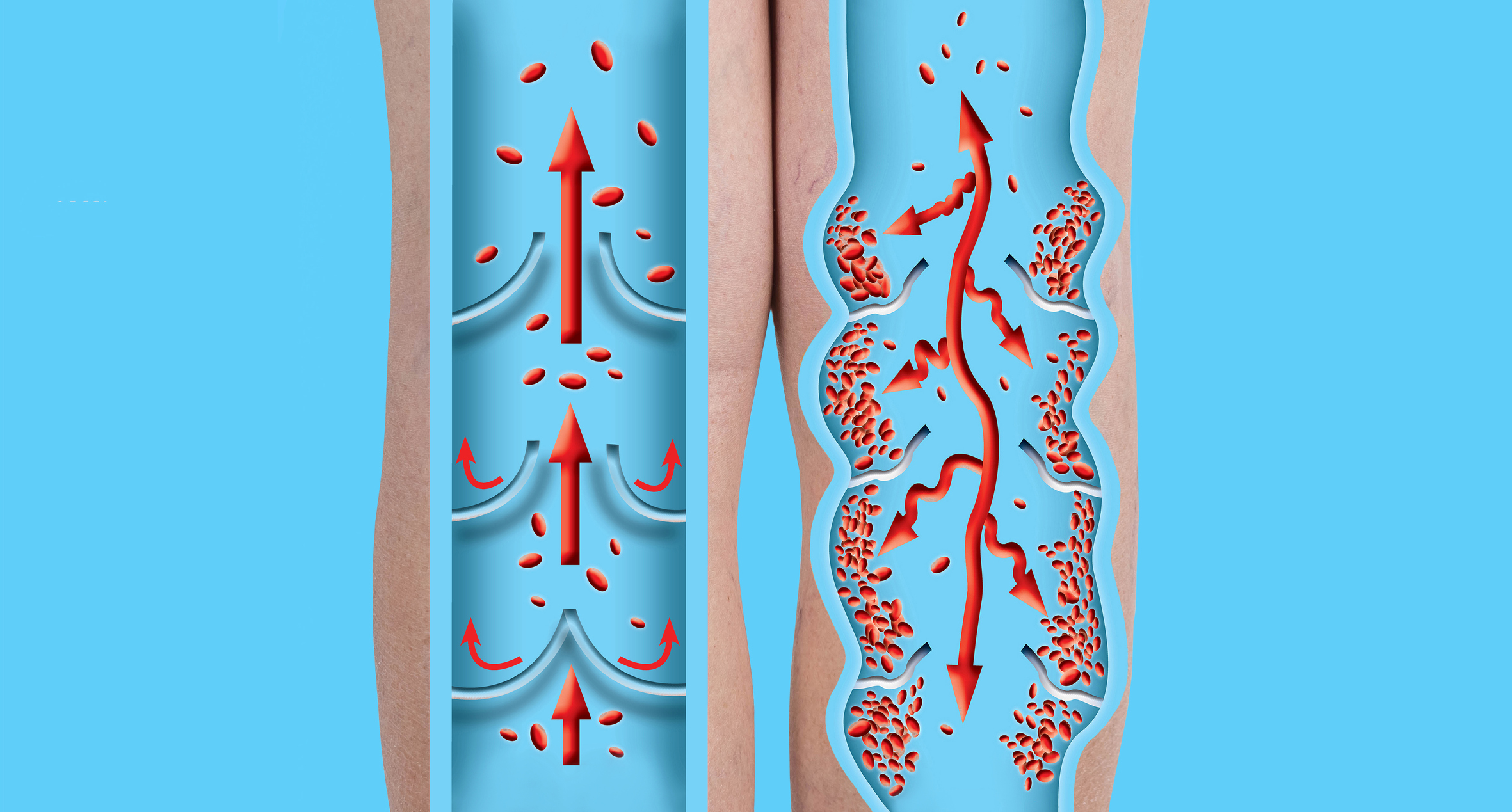 The Japanese secret to healthy circulation | Health Maximizer